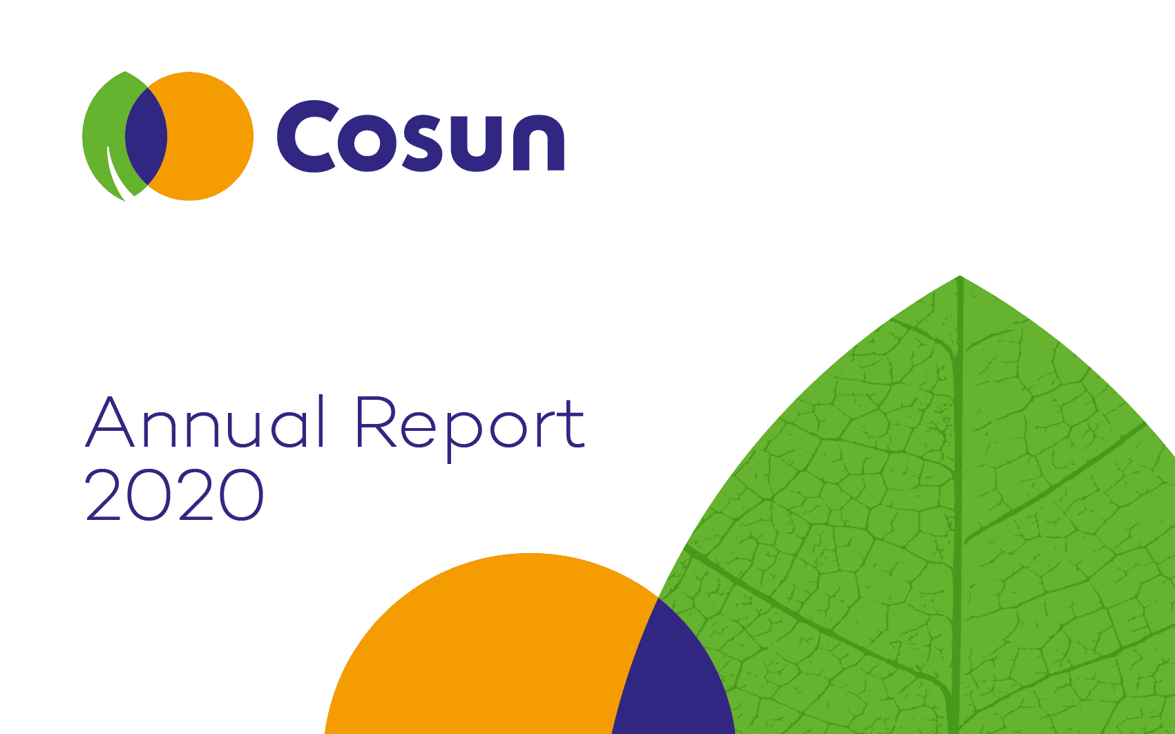 Cosun Annual Report 2020 - Cosun